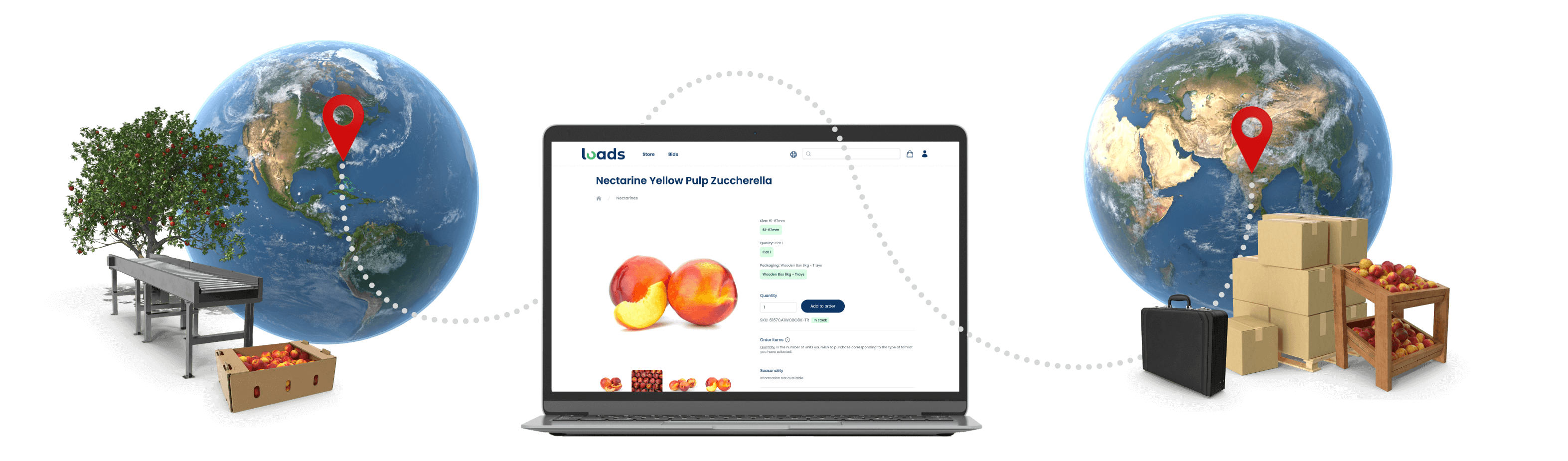 Loads - Be local. Go global